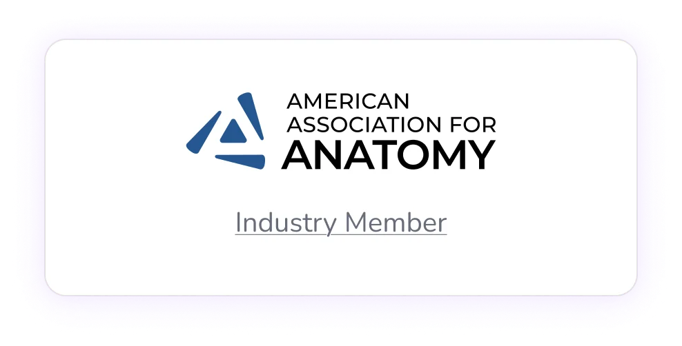 Transform Business with Immersive Tech & AR | Brahmarsive